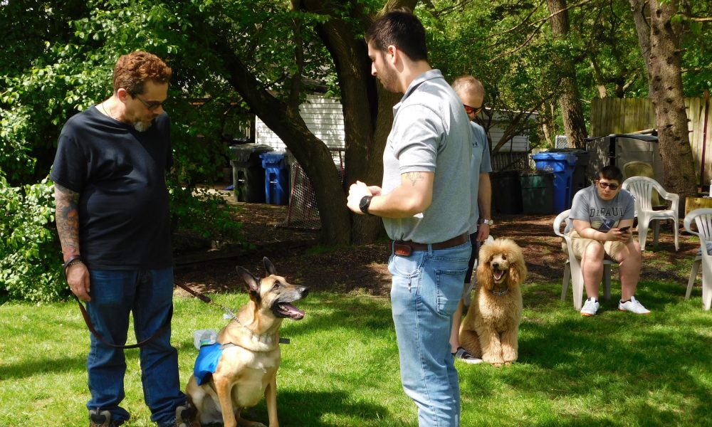 Meet Colton Brooks of Brooks Canine Center in Northwest Suburbs ...