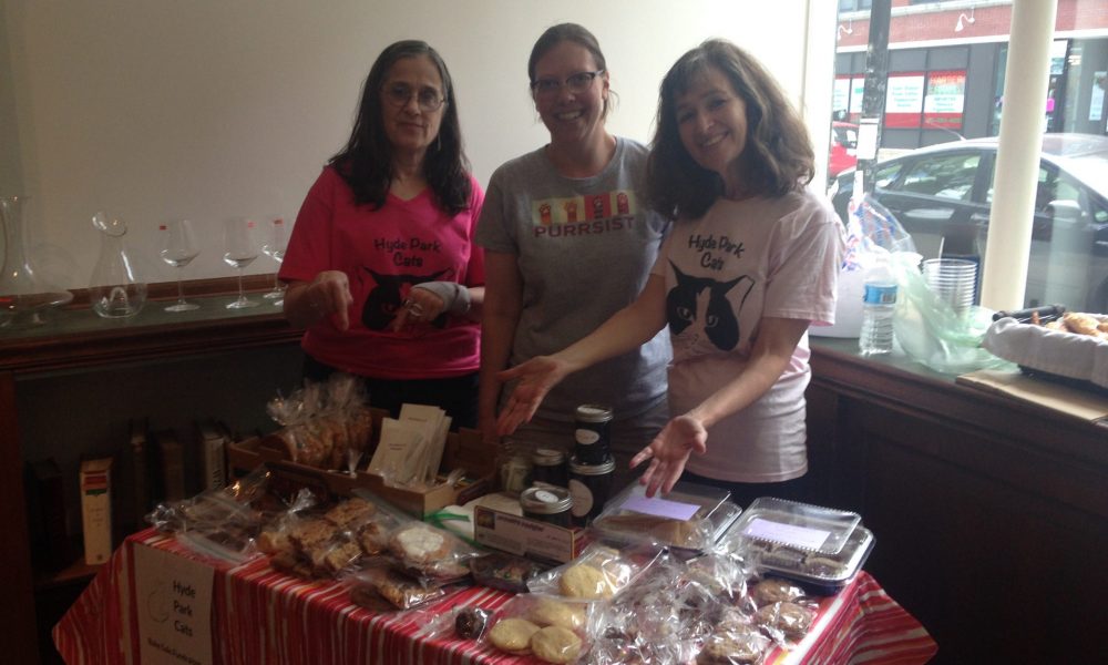 Meet Ainat Margalit of Hyde Park Cats - Voyage Chicago | Chicago City Guide