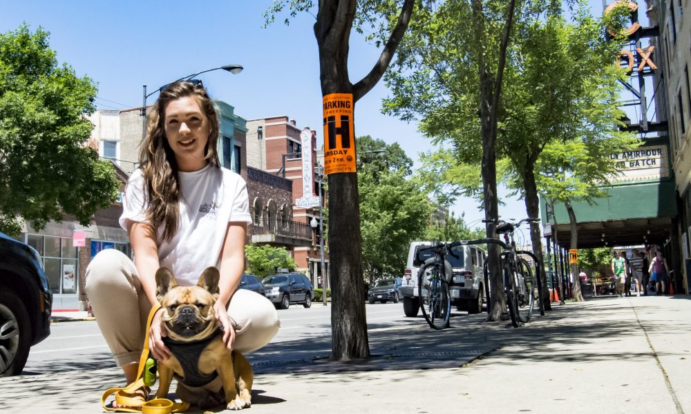 Meet Amanda Iverson and Jose Ortega of Poodly Pawesome Dog Walking in ...