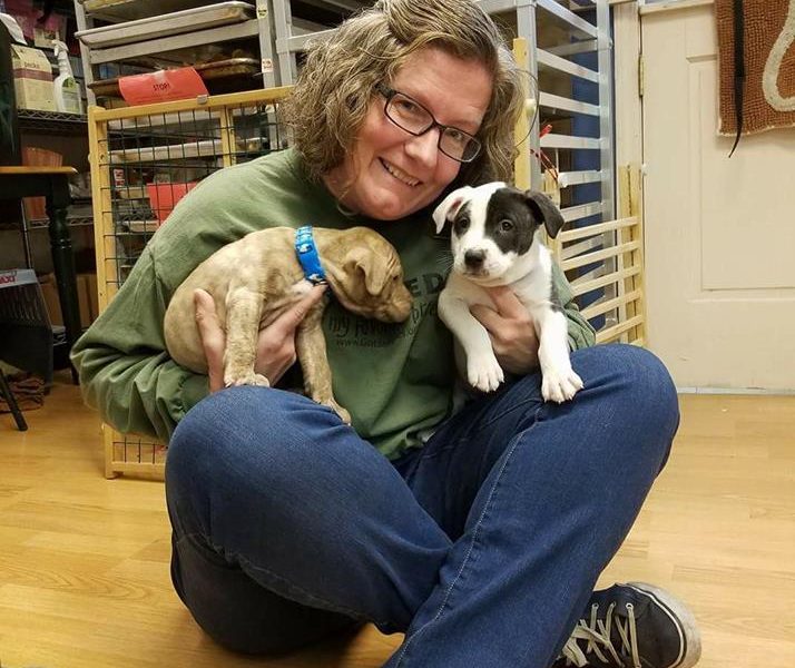 Meet Beth Staley of Happy Dog Barkery in Downers Grove - Voyage Chicago ...