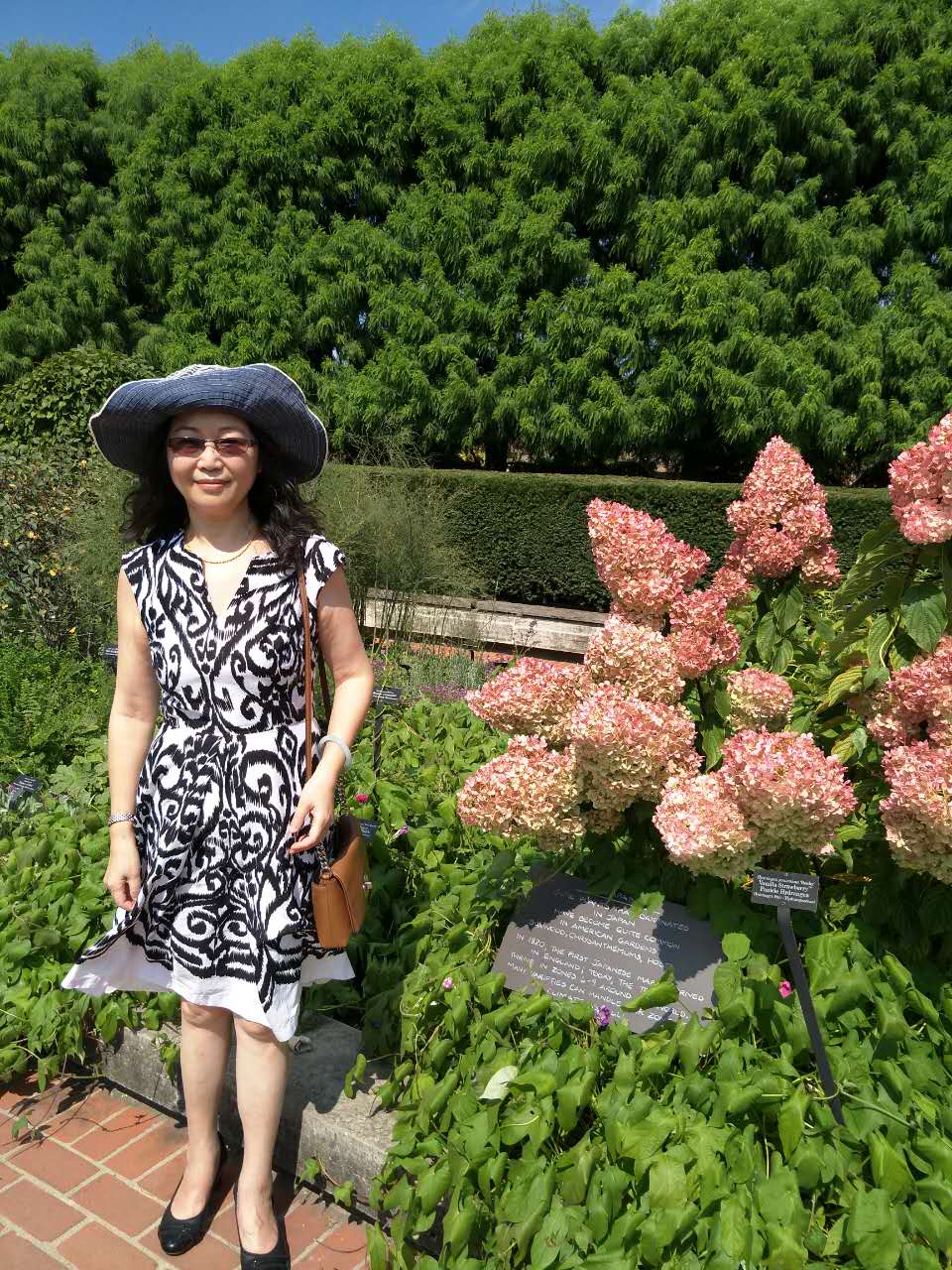 Meet Dr. Xin Hu of Lake County Acupuncture Clinic in Lake Forest ...