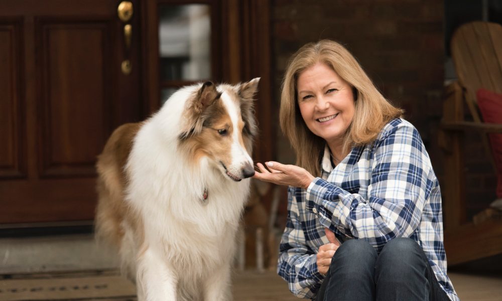 Meet Jennifer Schade of JRS Consulting in Wilmette - Voyage Chicago ...