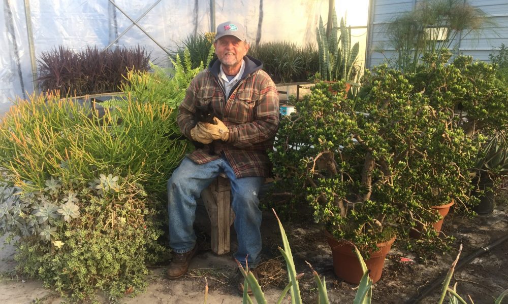 Meet Nick Zandstra of Zandstra's Greenhouse - Voyage Chicago | Chicago ...