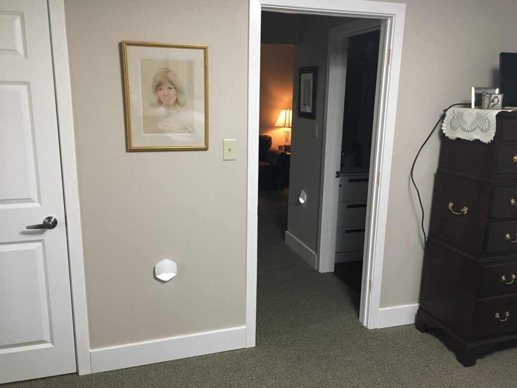 Meet Donovan Morrison of Luna Lights in North Center - Voyage Chicago ...