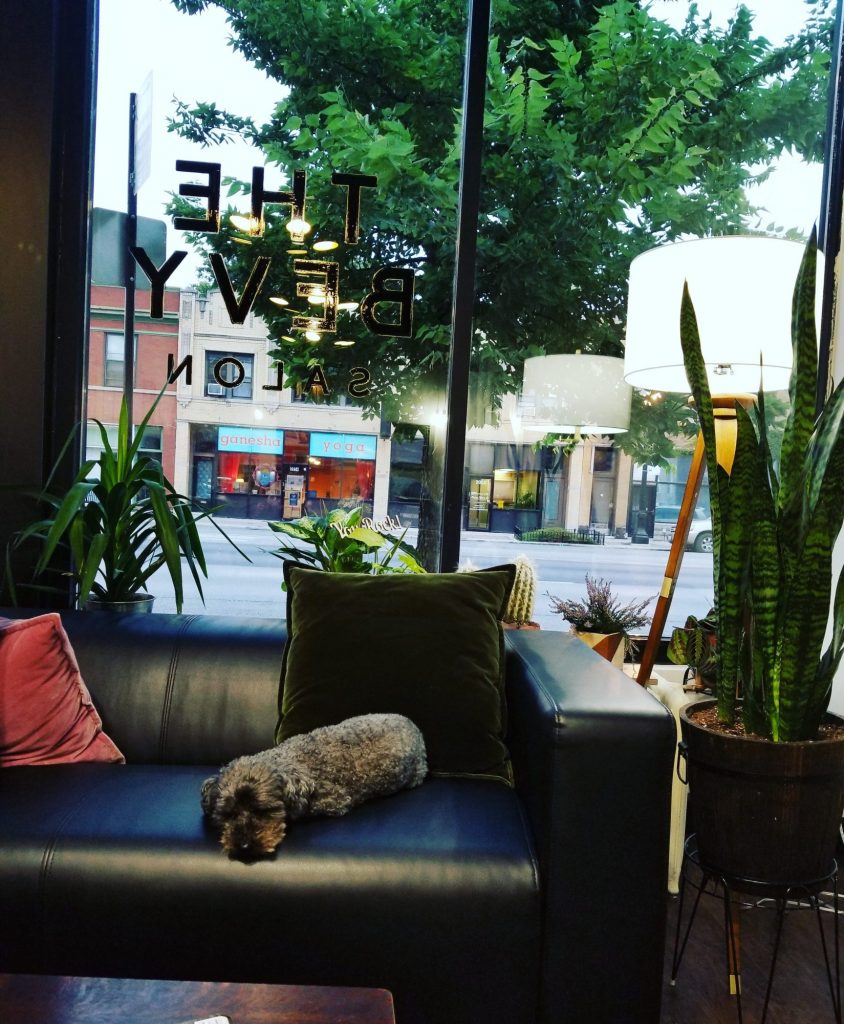 Meet Audrey Ciecka of The Bevy in North Center - Voyage Chicago ...