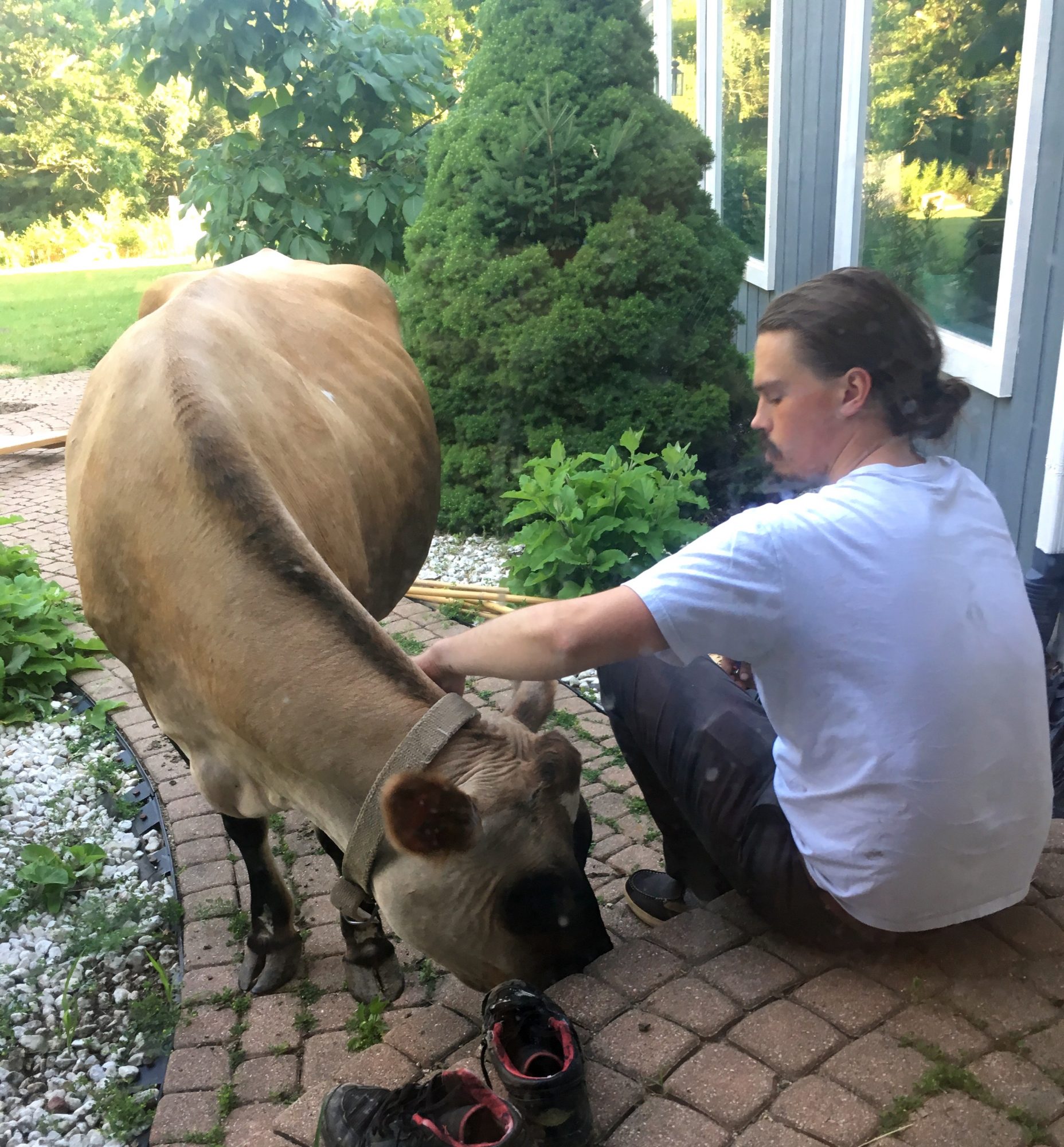 Meet Teresa Gallo of Milk & Honey Farmstead - Voyage Chicago | Chicago ...