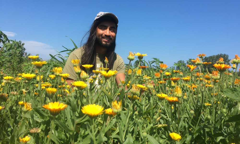 Meet Eric Rodriguez of The Urban Canopy in Southside - Voyage Chicago ...