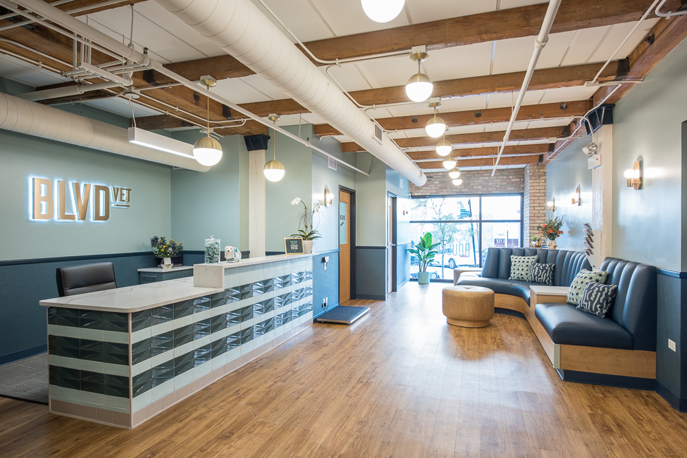 Meet Dylan Frederickson of Boulevard Veterinary in River North and Logan Square - Voyage Chicago ...