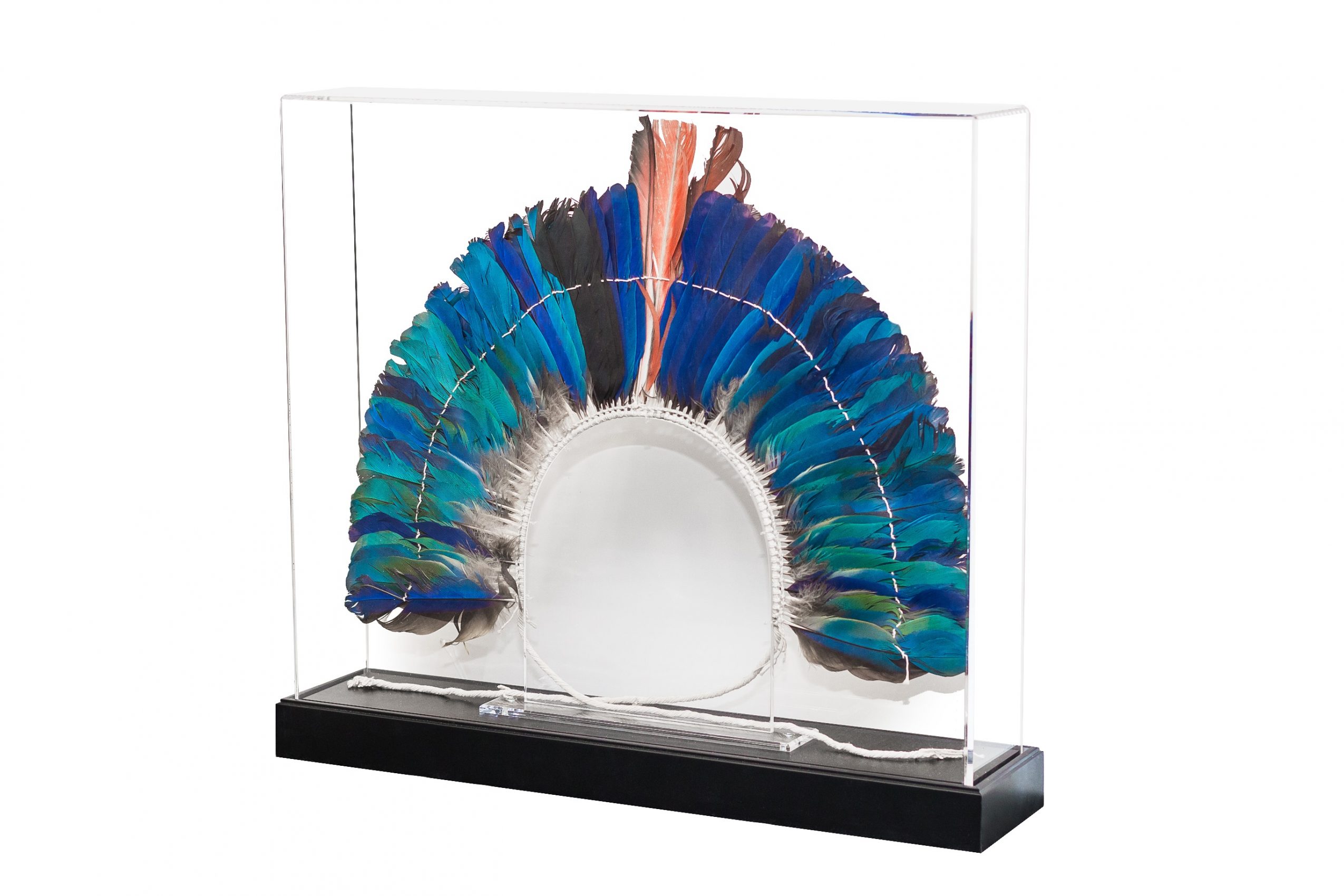 Feathered_Headware_Acrylic_Case__3_ - Voyage Chicago | Chicago City Guide