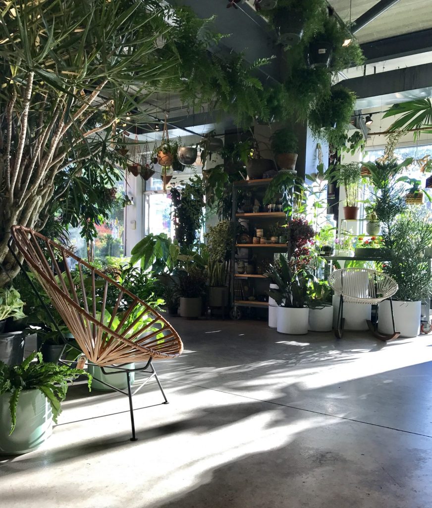 Meet Tara Heibel of Sprout Home in West Town - Voyage Chicago | Chicago ...