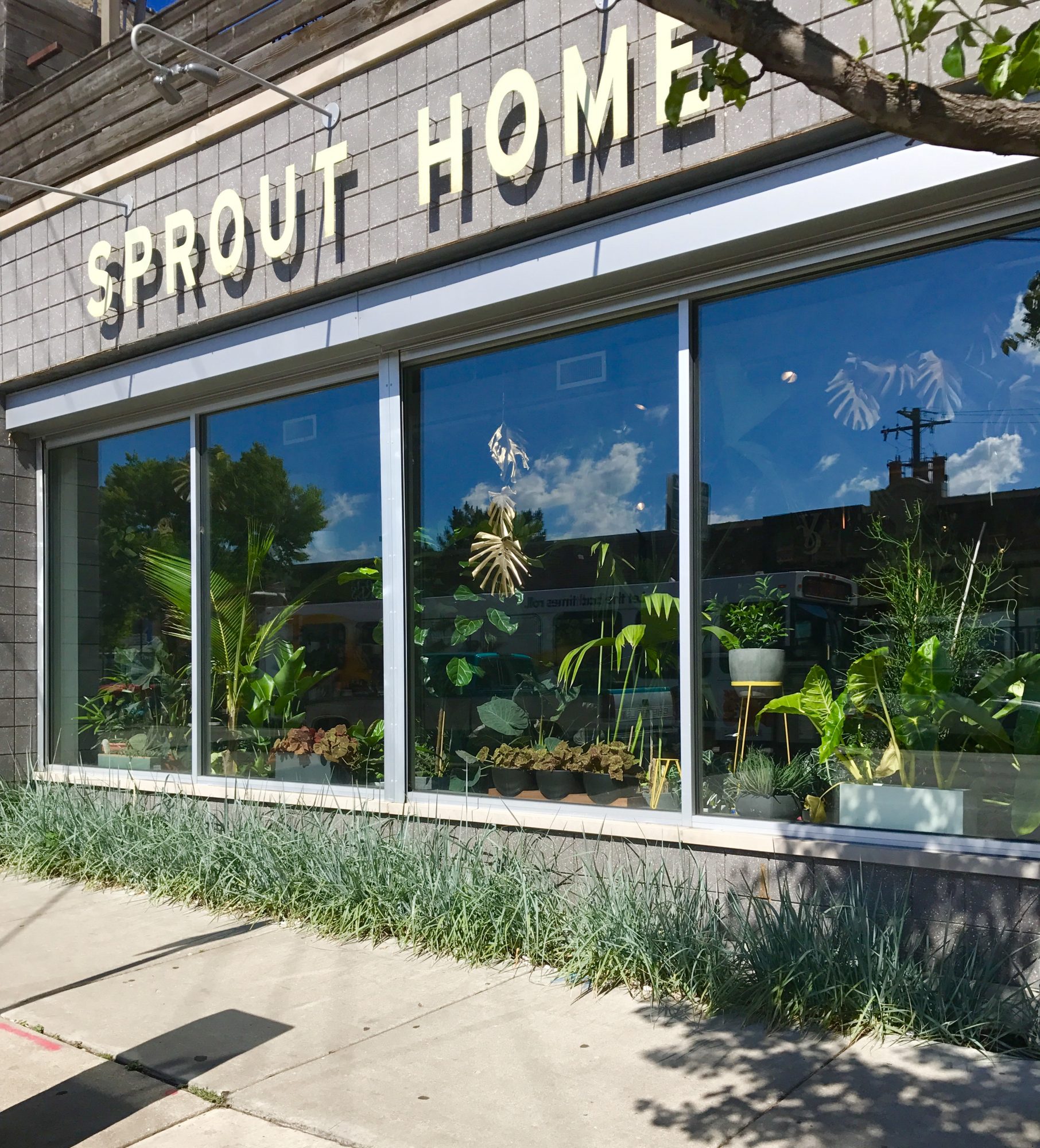Meet Tara Heibel of Sprout Home in West Town - Voyage Chicago | Chicago ...