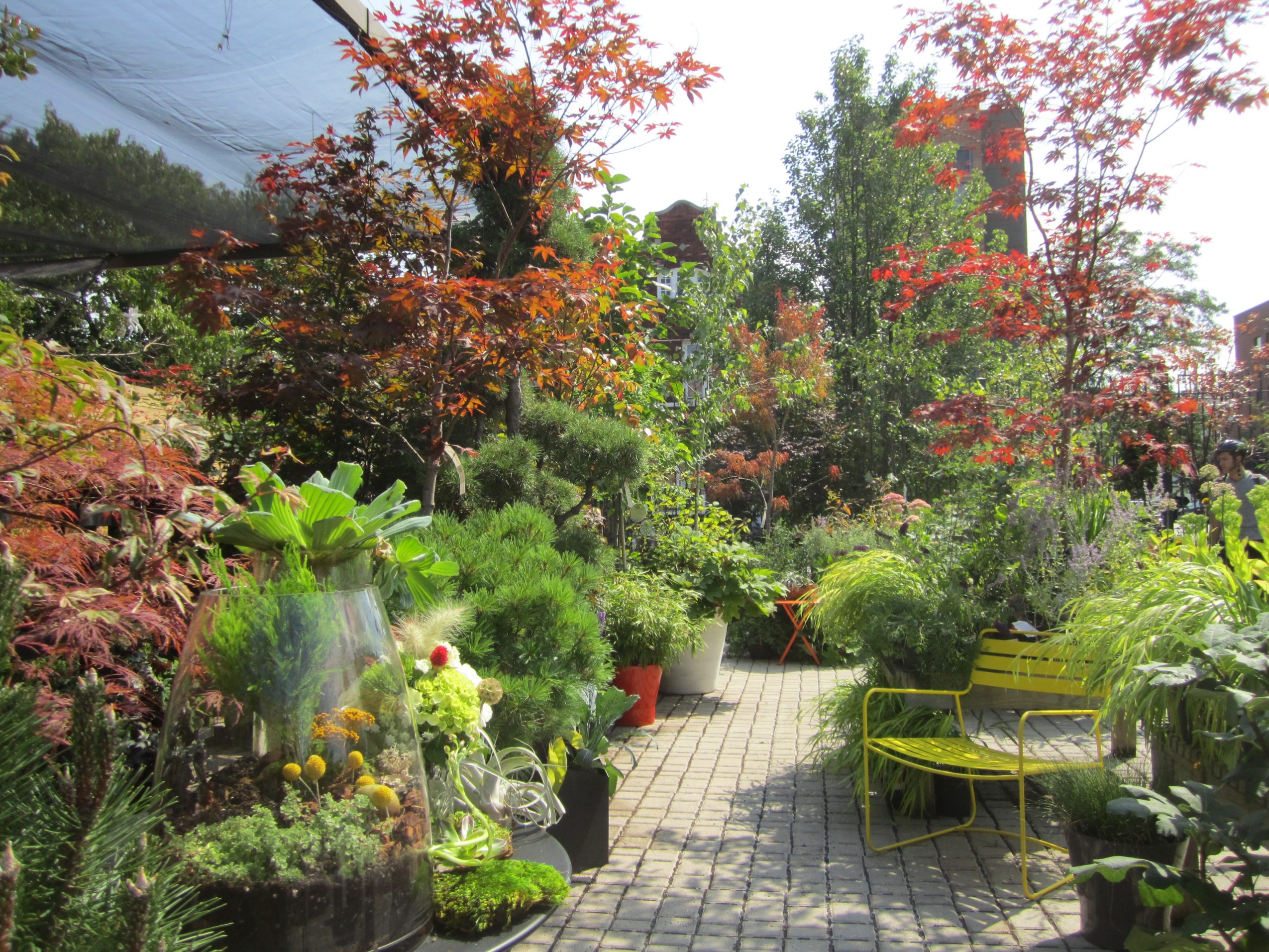 Meet Tara Heibel of Sprout Home in West Town - Voyage Chicago | Chicago ...