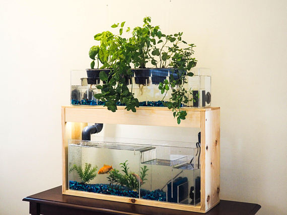 Meet Allison Hileman of Big Fish Innovations in Humboldt Park - Voyage ...