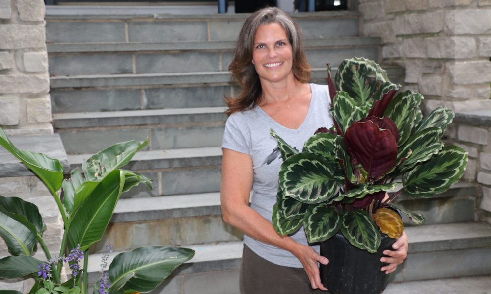 Meet Sharon Walsh of Semi Green Thumb in Lakeview - Voyage Chicago ...