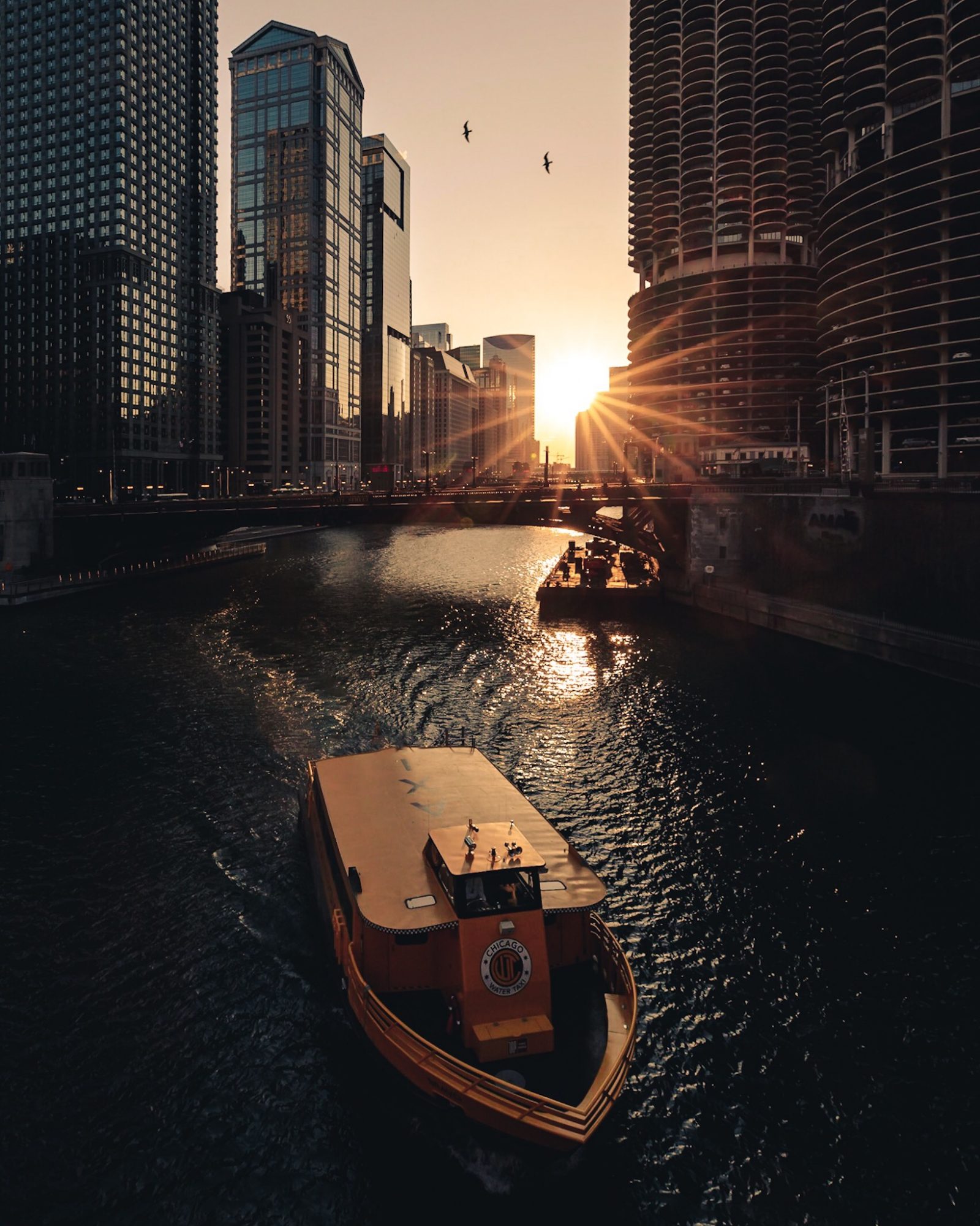 Check out Alex Qian's Artwork - Voyage Chicago | Chicago City Guide