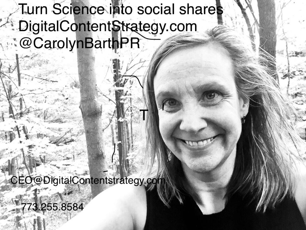 Meet Carolyn Barth of Digital Content Strategy (DigitalContentStrategy ...