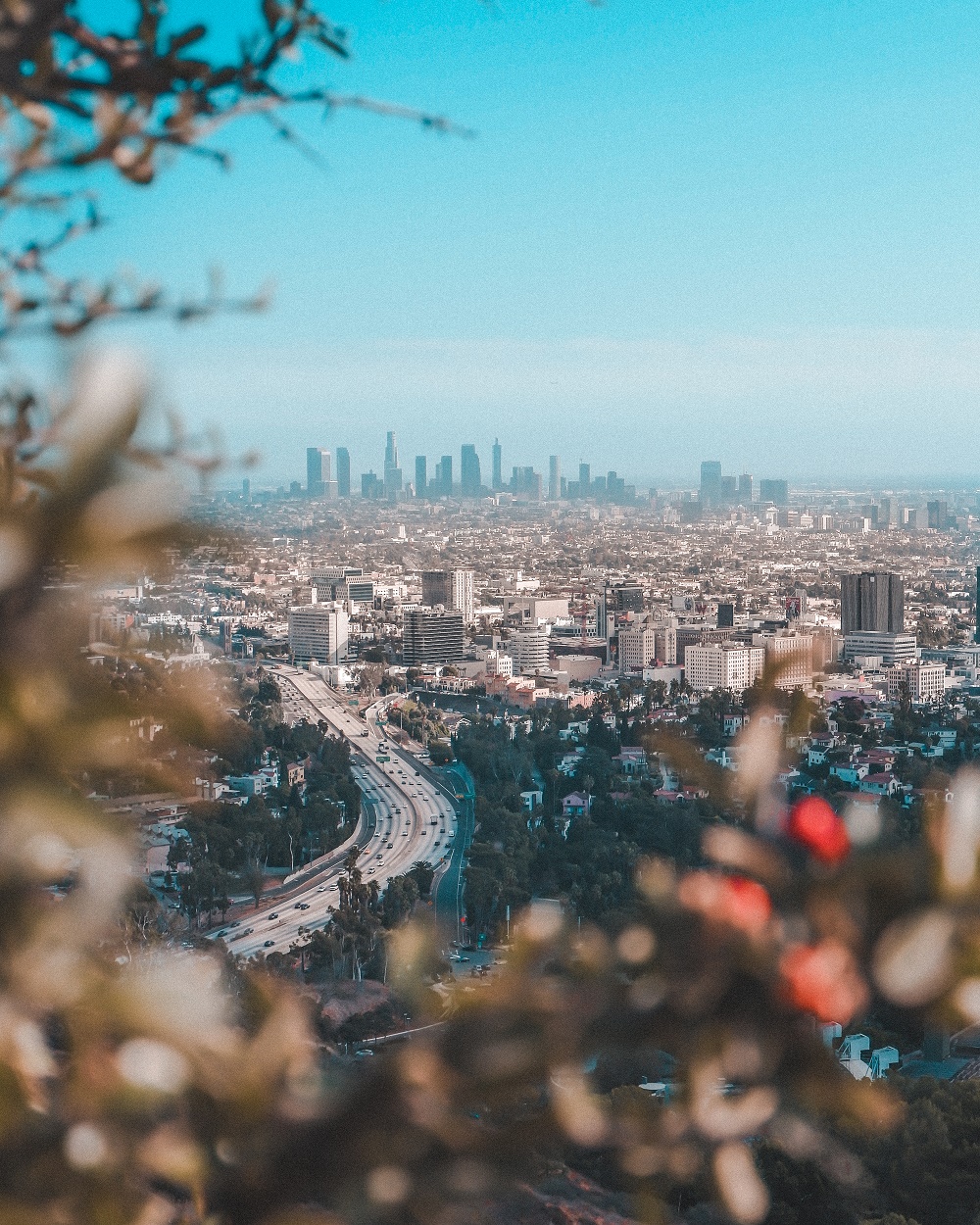 DSCF4922 - Voyage Chicago | Chicago City Guide