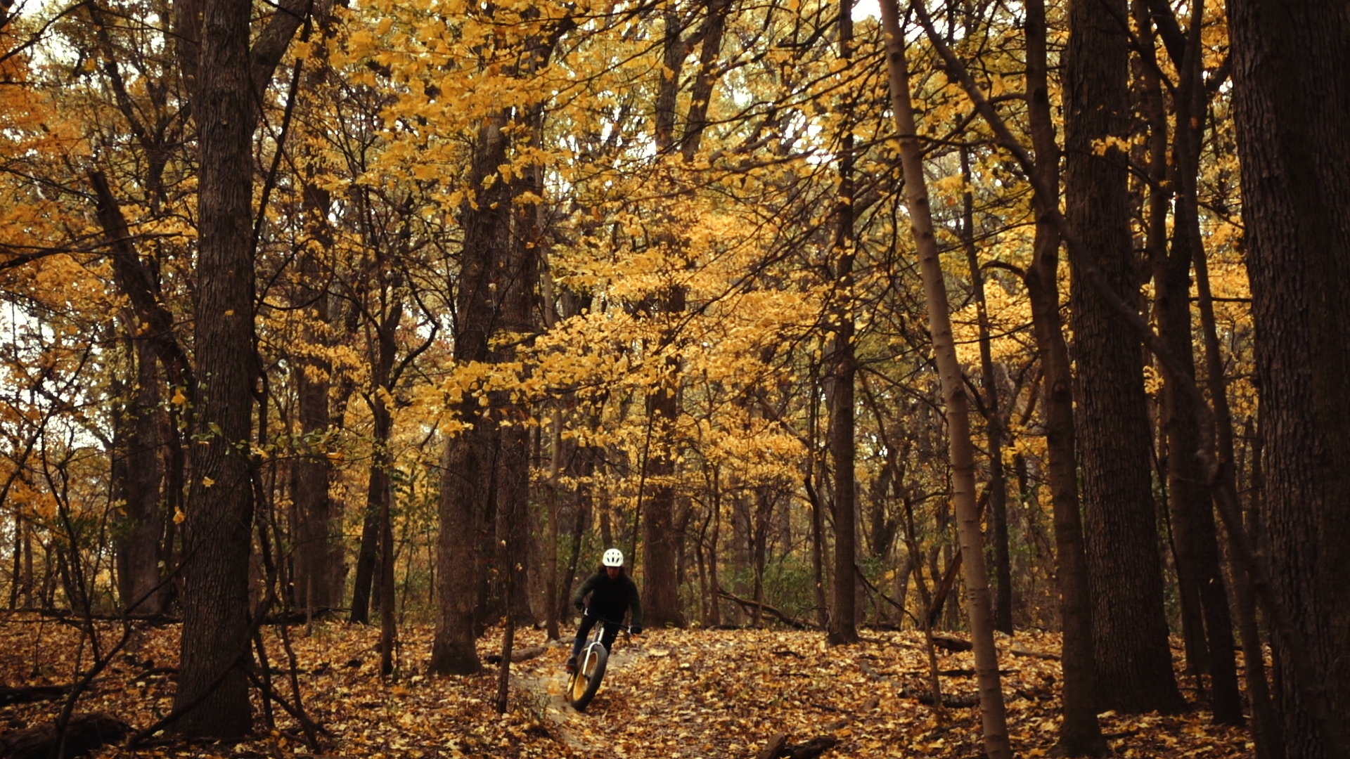 Meet Zach Neal - Voyage Chicago | Chicago City Guide