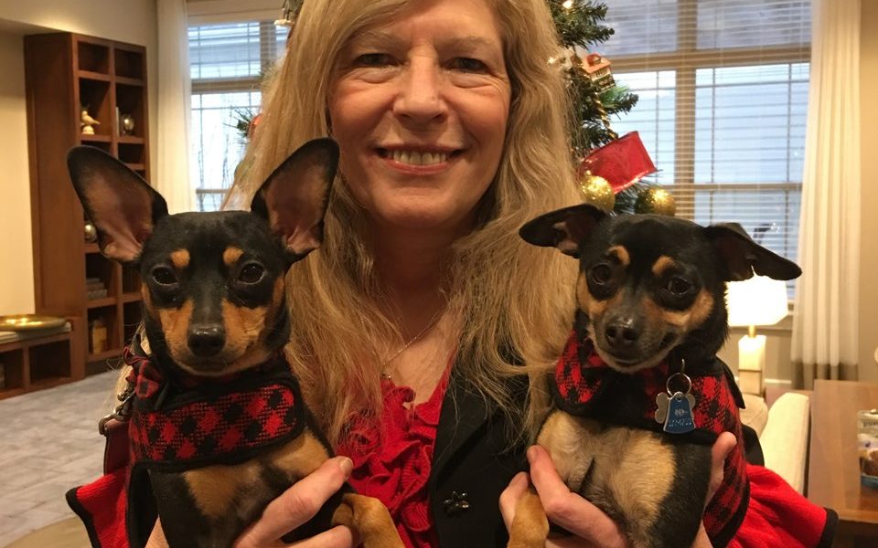 Meet Dr. Denise Casey of Barrington Behavioral Health & Wellness in ...