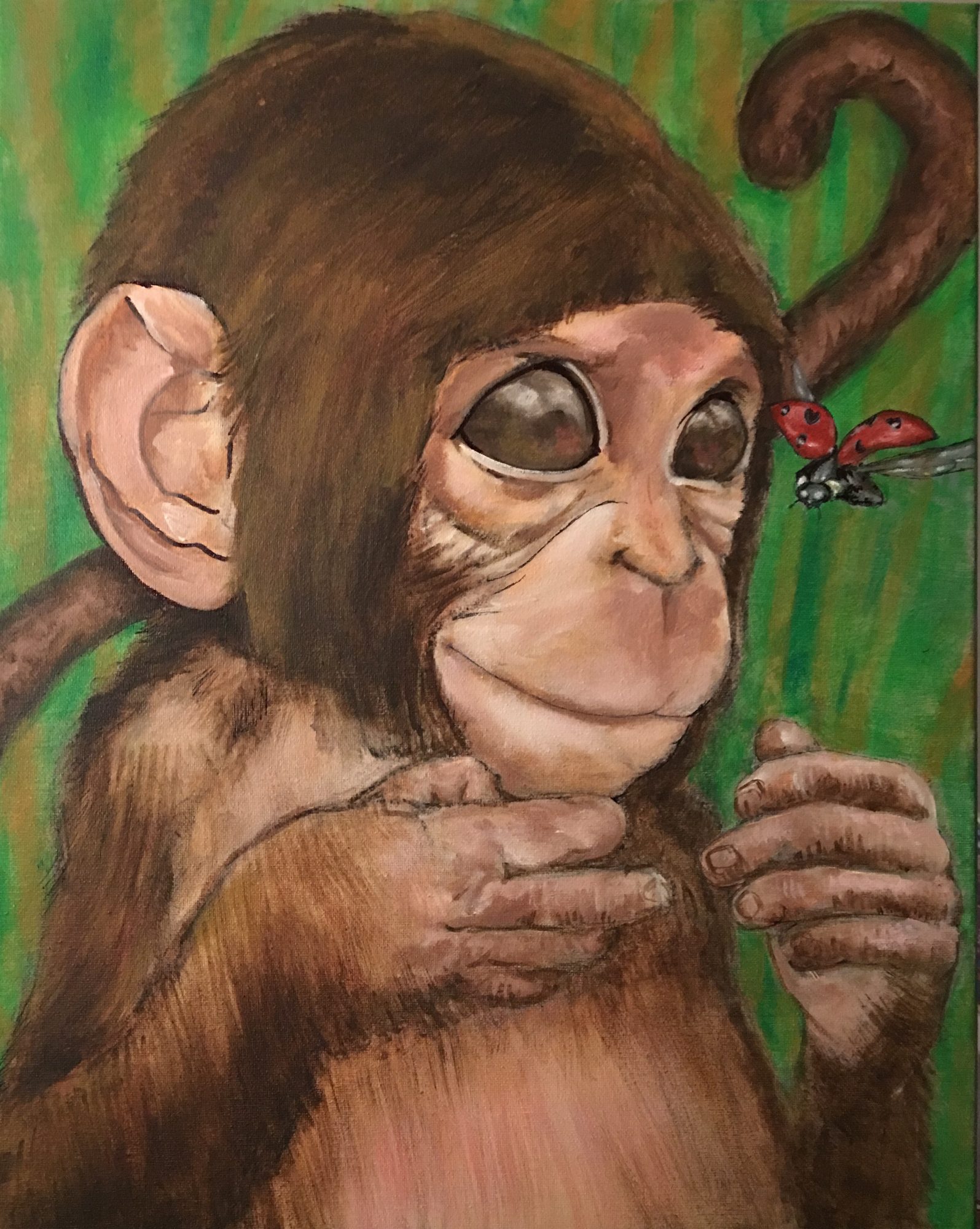 monkey - Voyage Chicago | Chicago City Guide