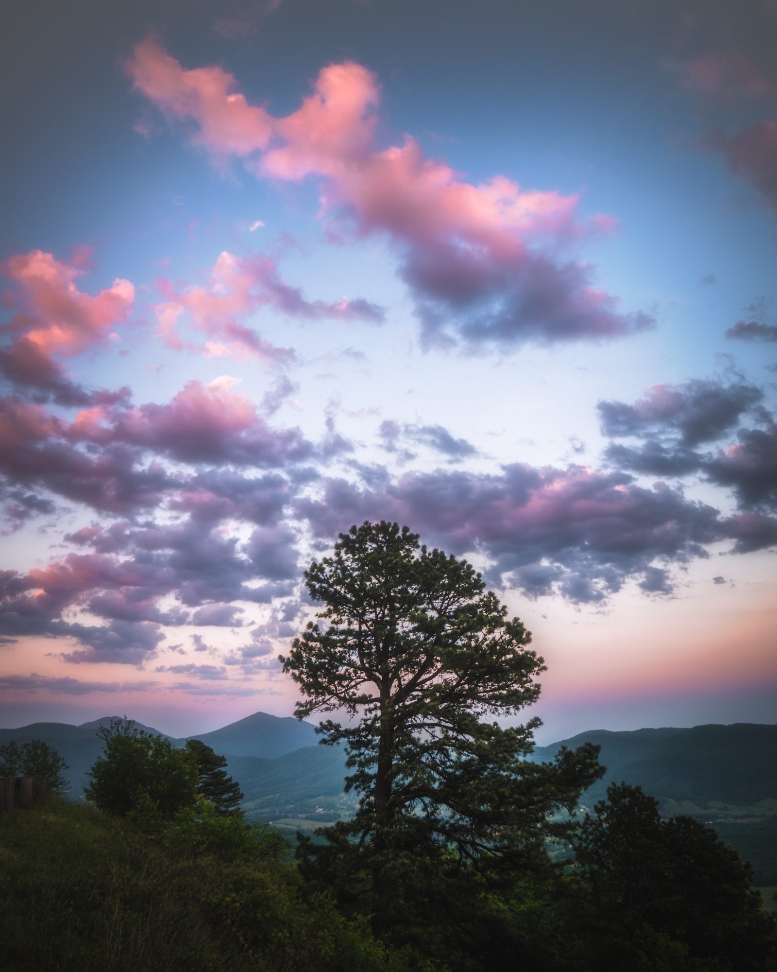 Check out Dylan Fraley's Artwork - Voyage Chicago | Chicago City Guide