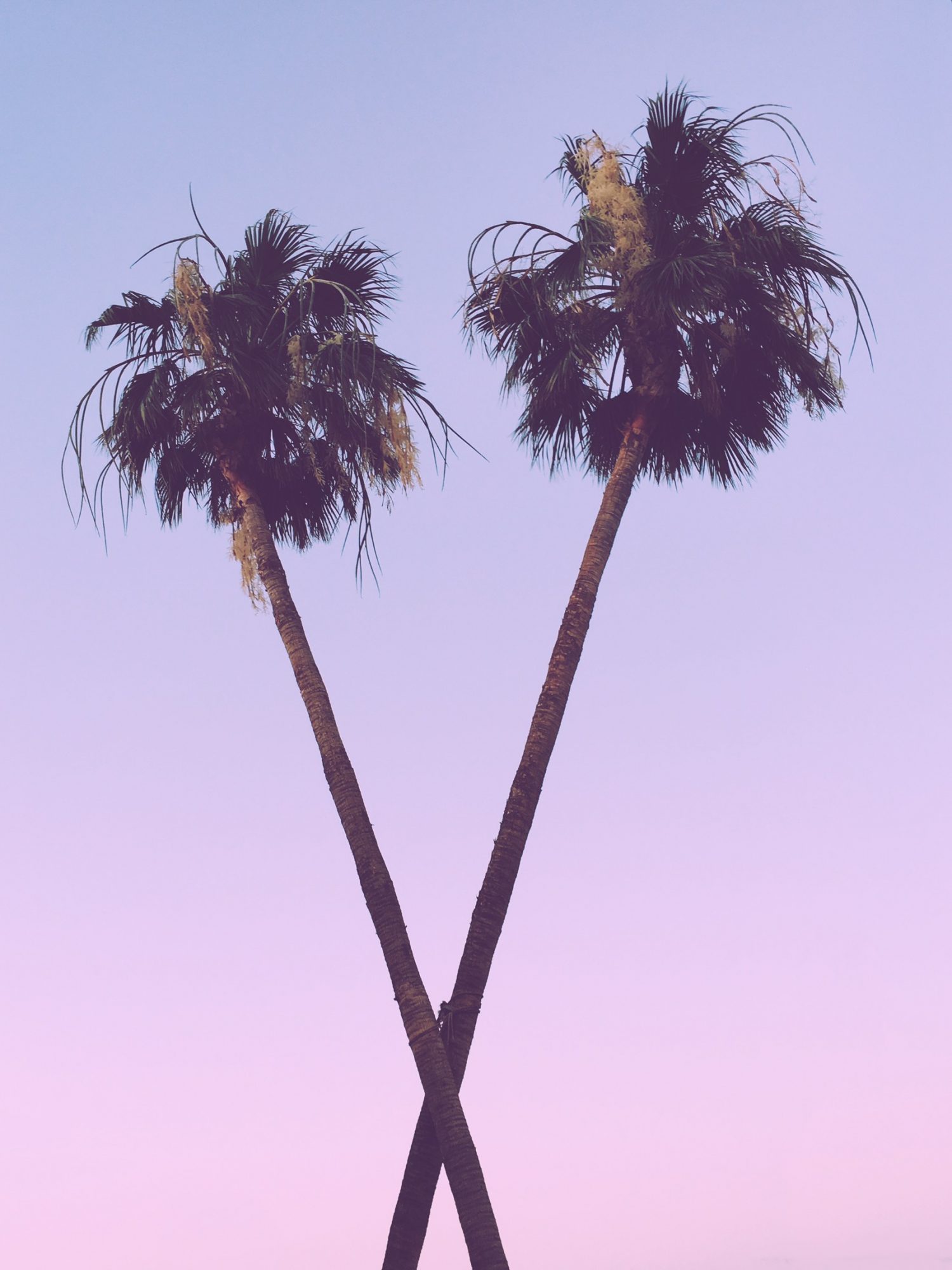 Meet Jess Buck - Voyage Chicago | Chicago City Guide