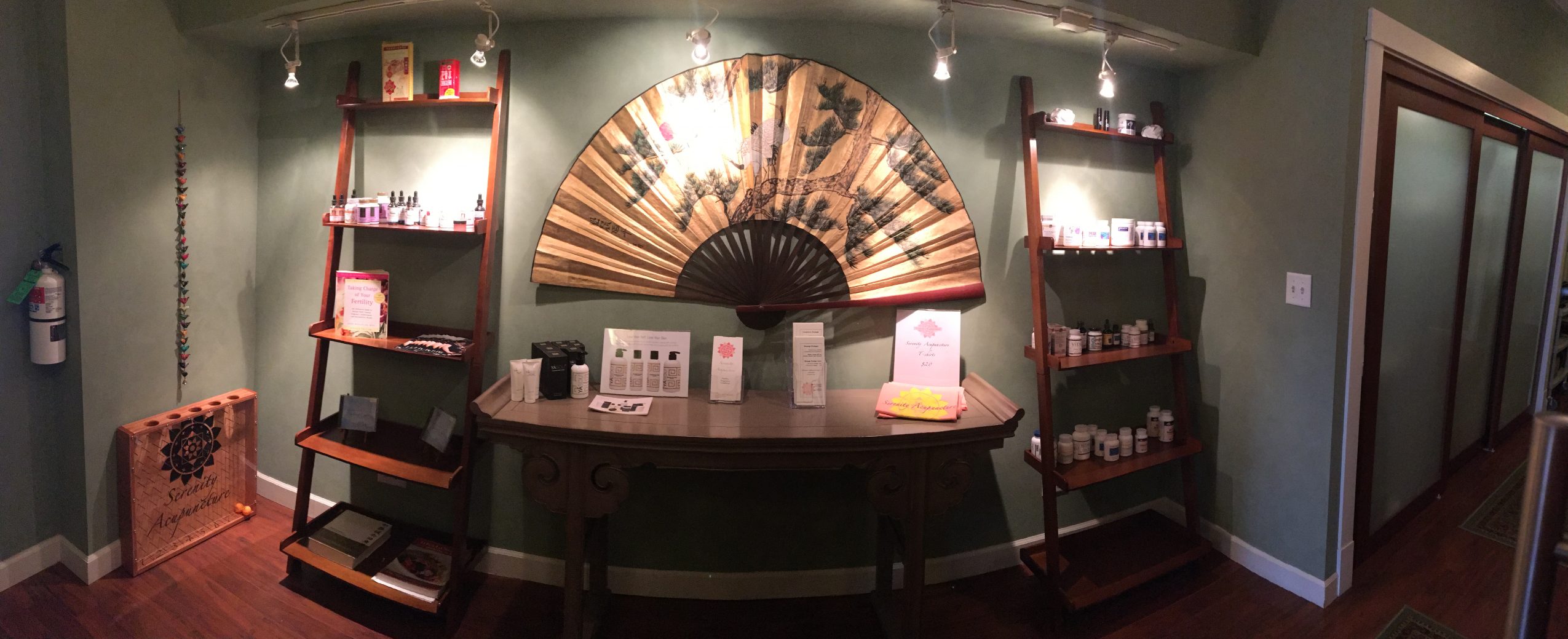 Meet Annie Spindler of Serenity Acupuncture in Oak Park - Voyage ...